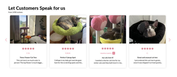 Update Top 10 Successful Shopify Pet Stores in 2026