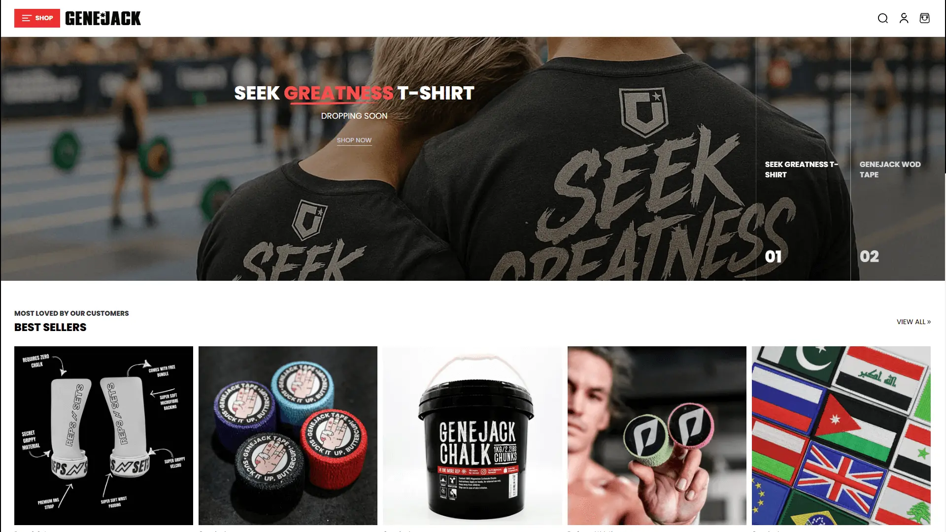 20 Best Shopify Fitness Store Examples to Ignite Your Business in 2025